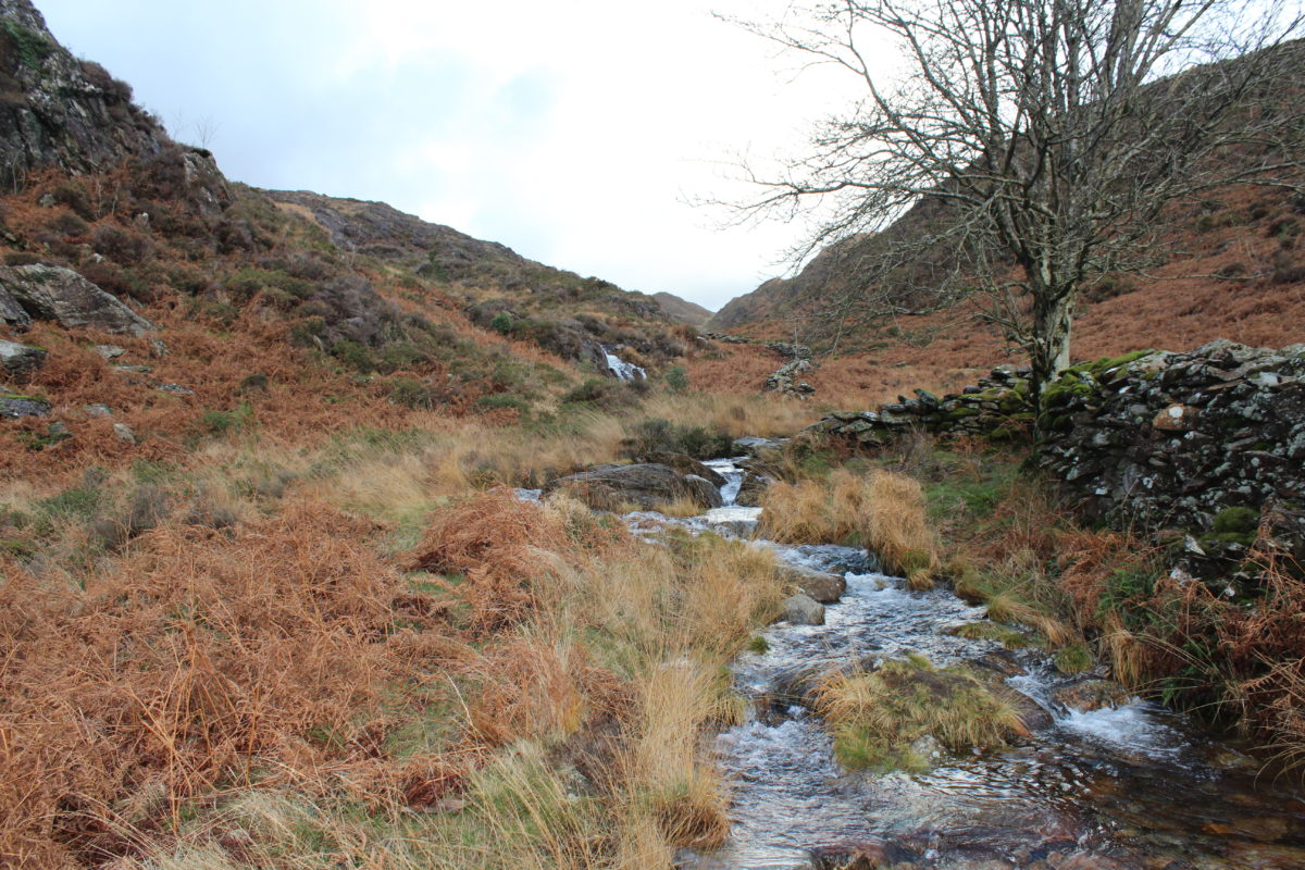 Cwm Bychan - The Woollen Mill