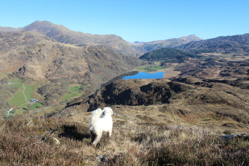 Cwm Bychan (2) - The Woollen Mill