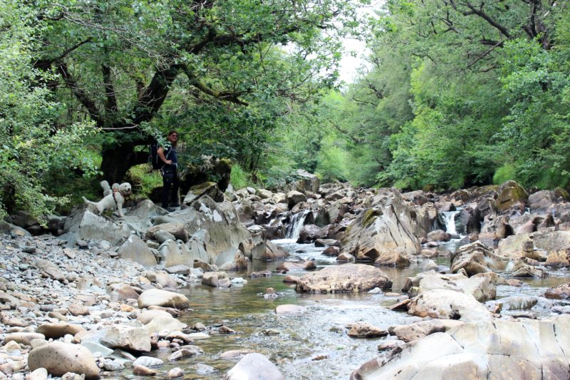 Gain Waterfall Trail - The Woollen Mill