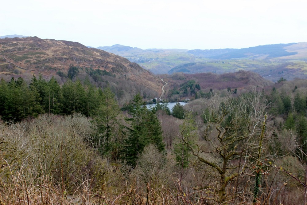 Hafod y Llyn(2) - The Woollen Mill